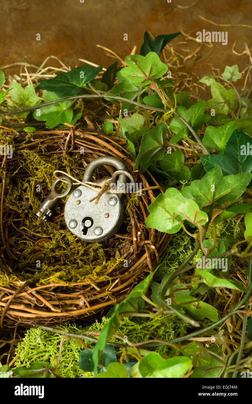 Old rusty padlock in an abandoned bird's nest Stock Photo - Alamy
