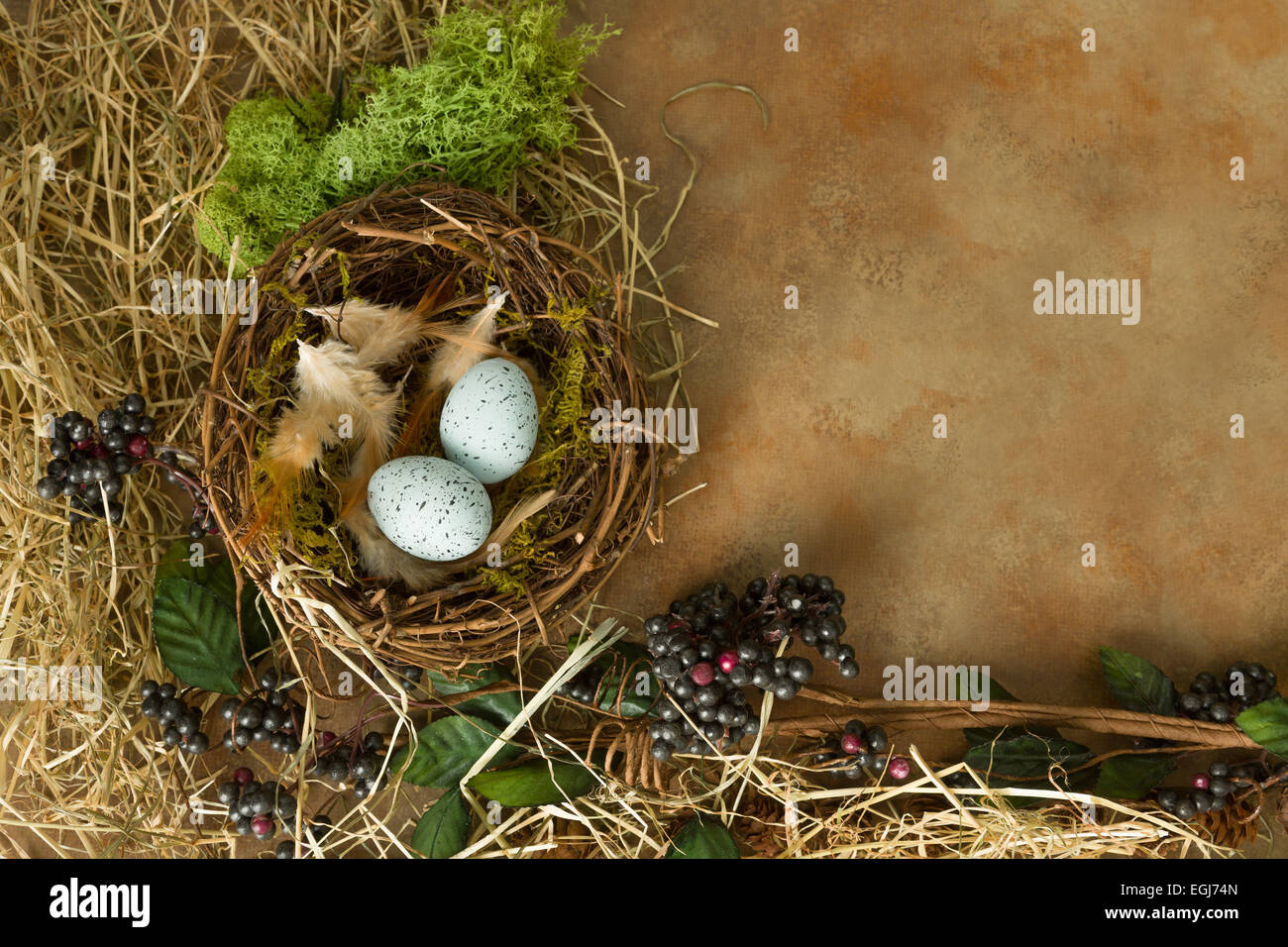 Border frame image made of berries, spring leaves and a bird's nest ...