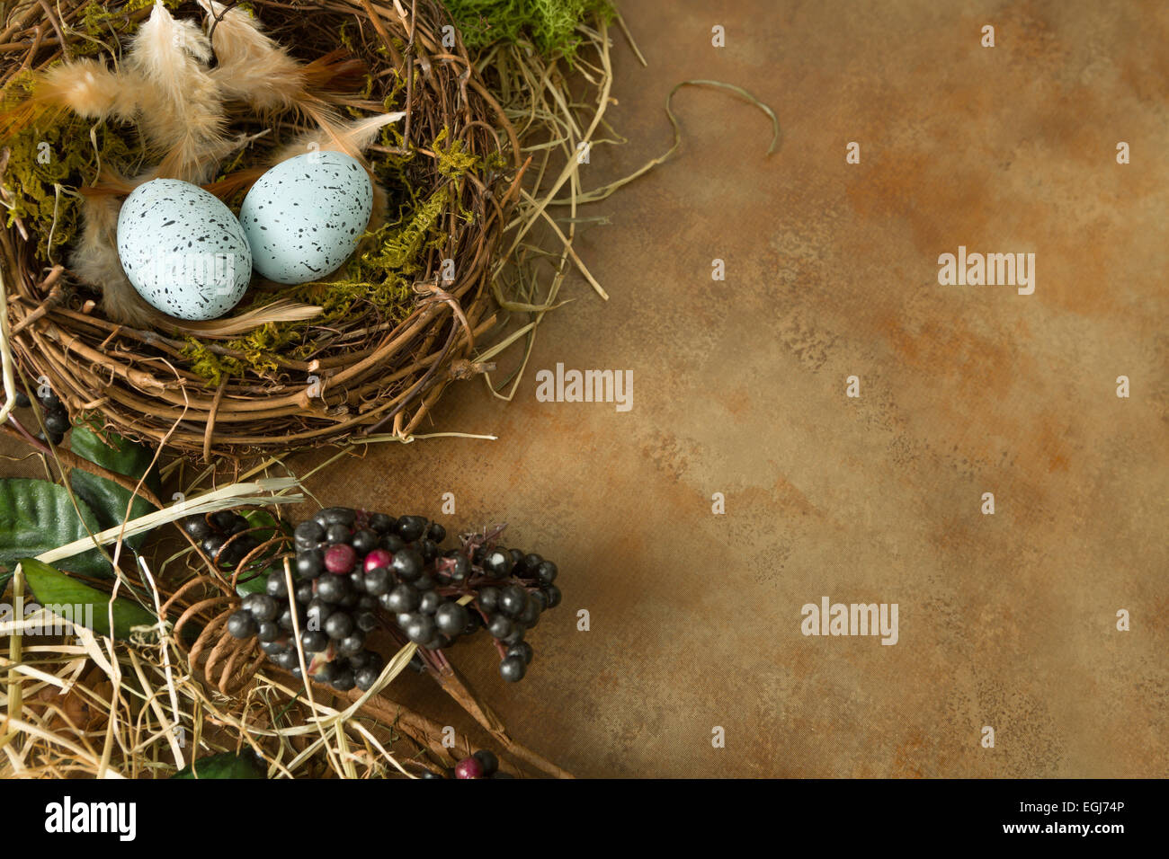 Border frame image made of berries, spring leaves and a bird's nest ...