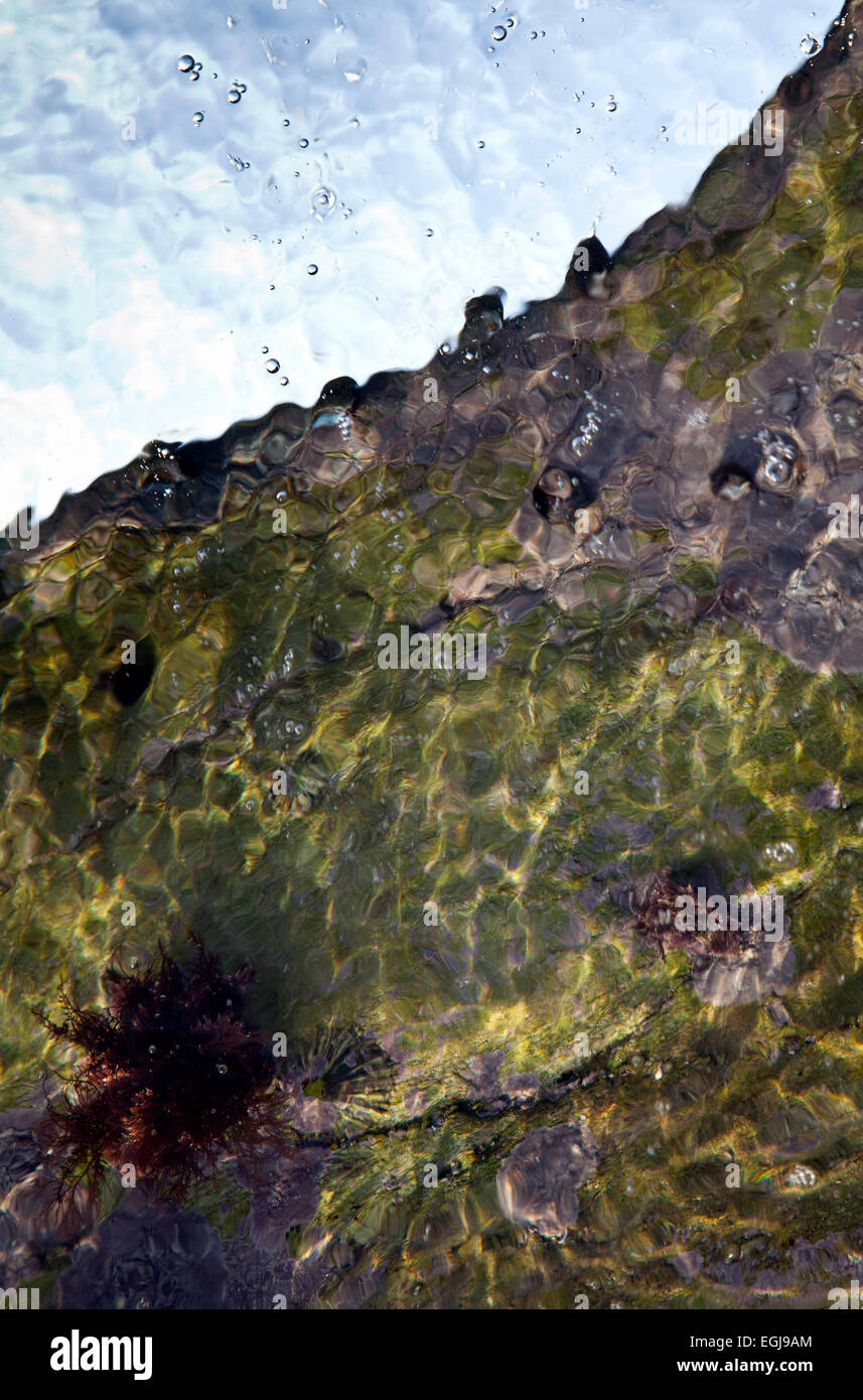 On under water surface hi-res stock photography and images - Alamy