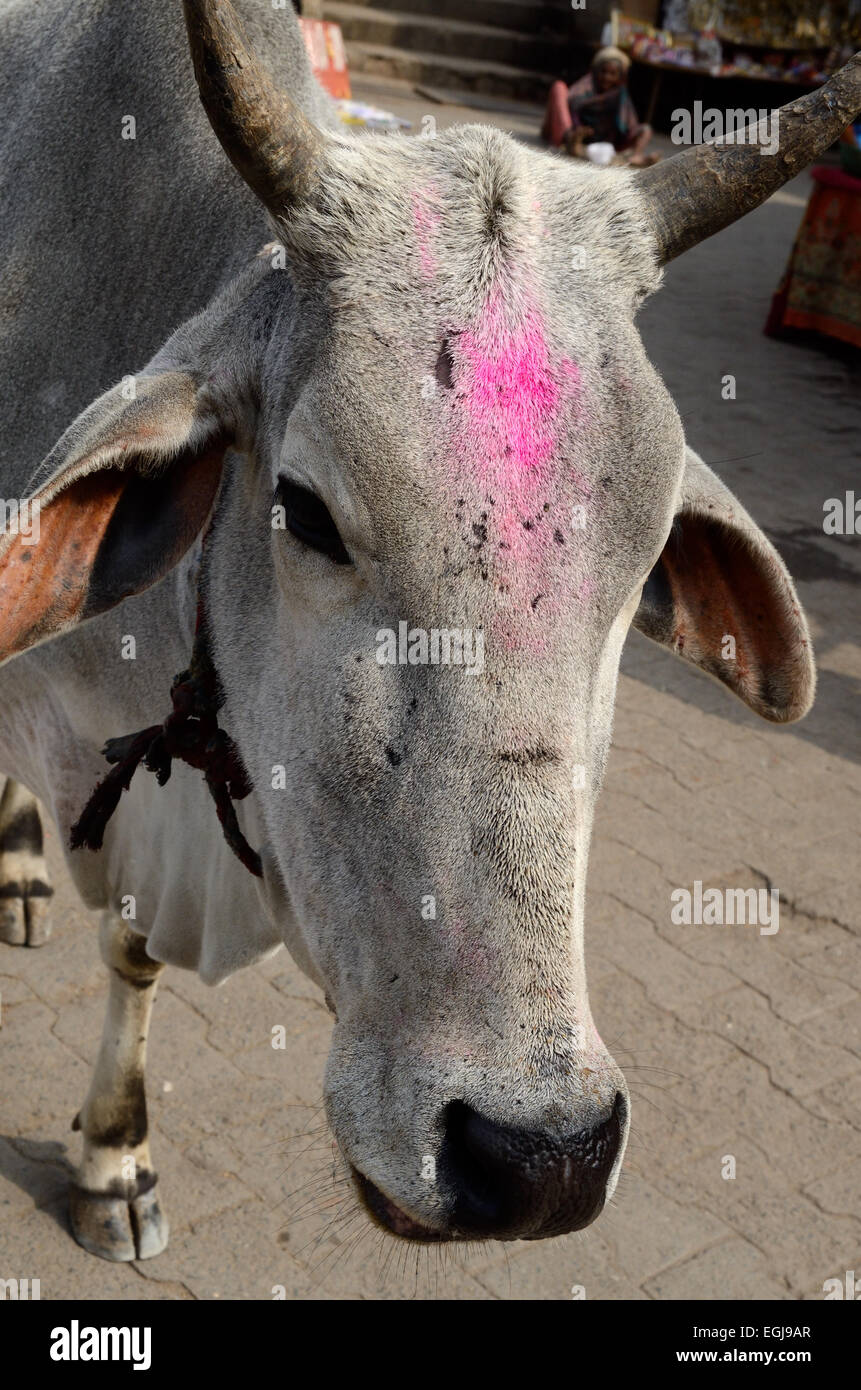 The holy face hi-res stock photography and images - Alamy