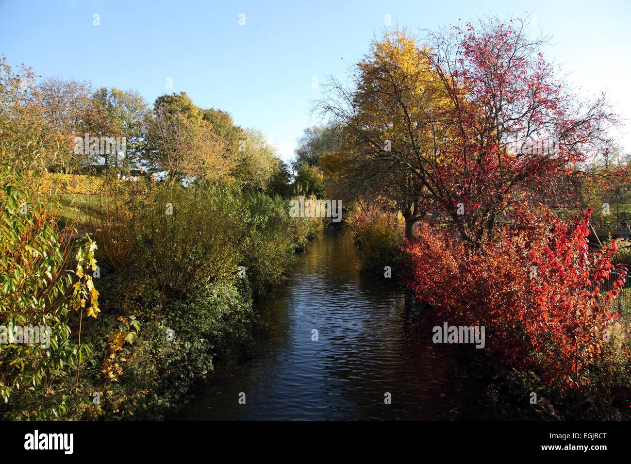 The River Lark as it runs through the Abbey Gardens at Bury St Edmunds ...