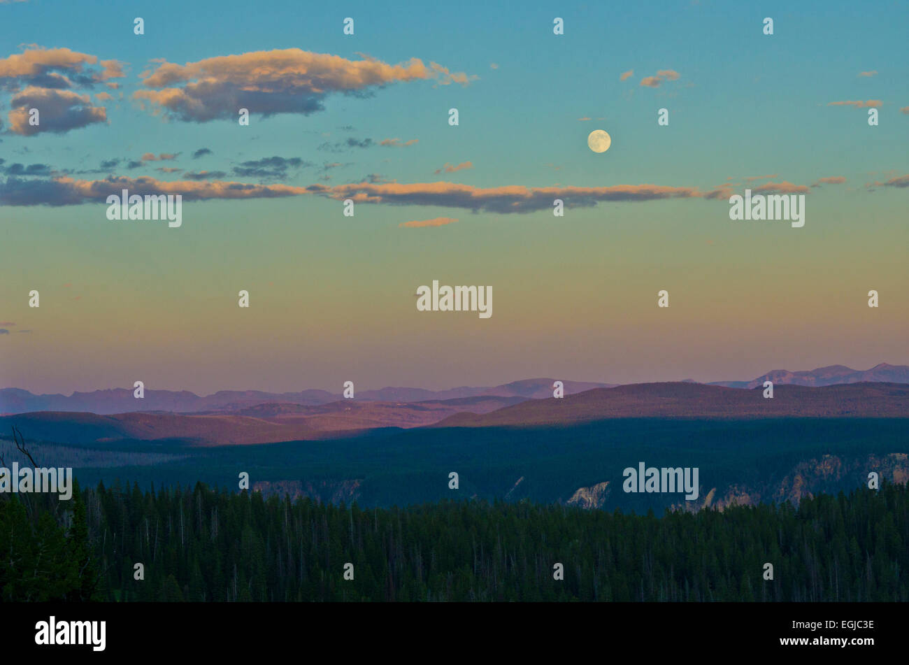 Full moon rising in Yellowstone National Park, Wyoming Stock Photo - Alamy