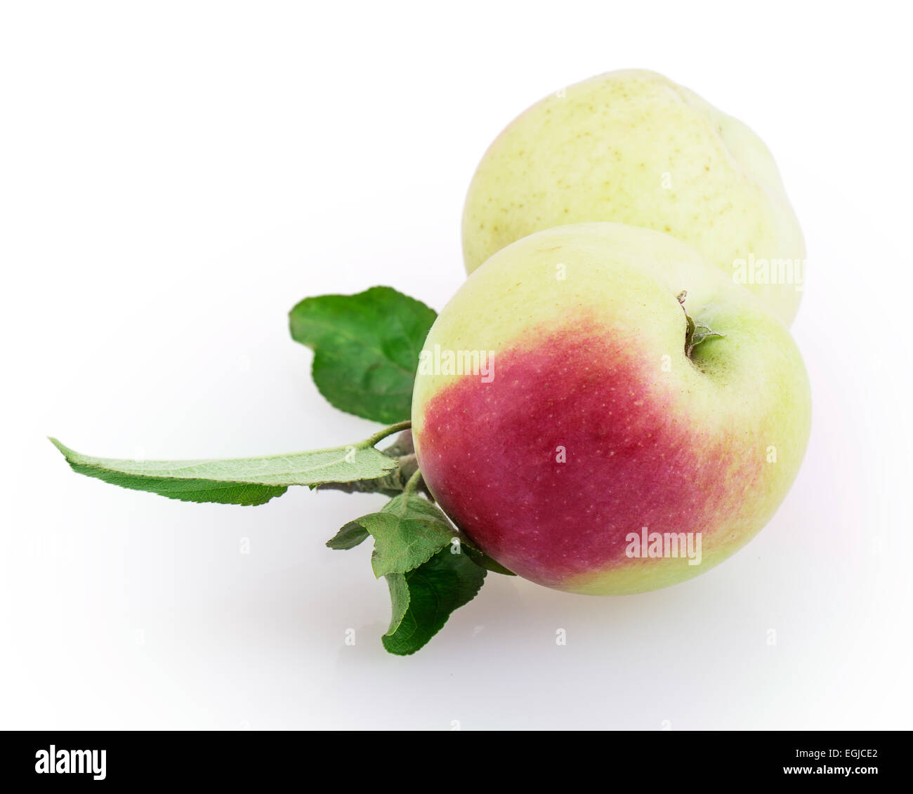 two apples isolated on white background Stock Photo - Alamy