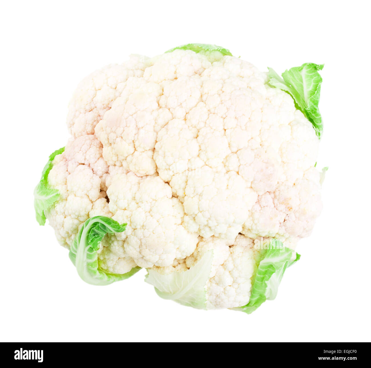 cauliflower isolated on white background Stock Photo - Alamy