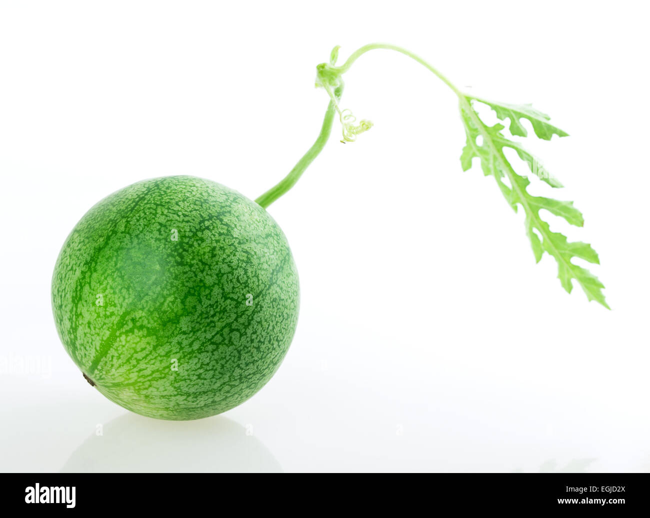 not ripe watermelon isolated on white background Stock Photo - Alamy