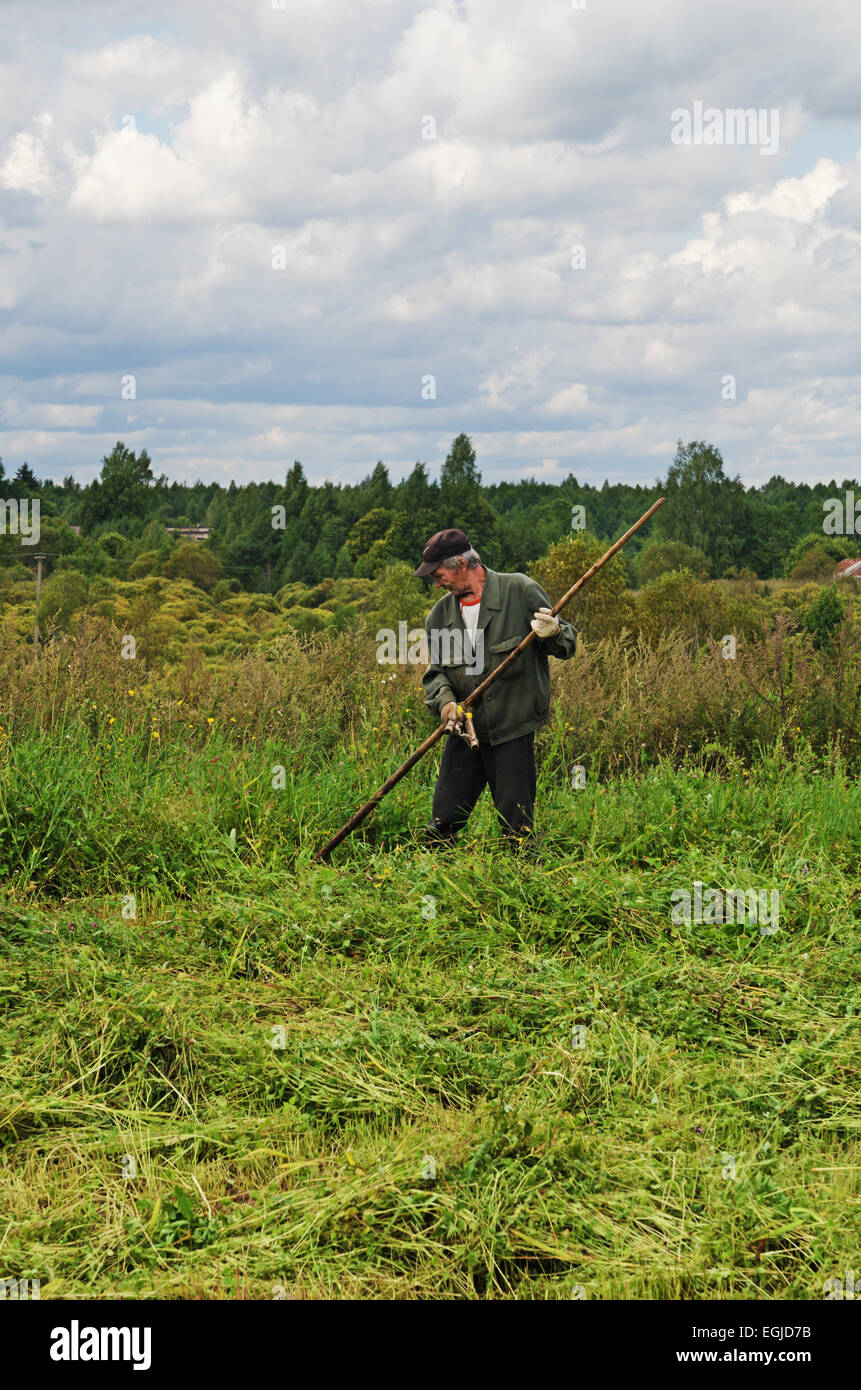 Cutting grass on village garden Stock Photo - Alamy