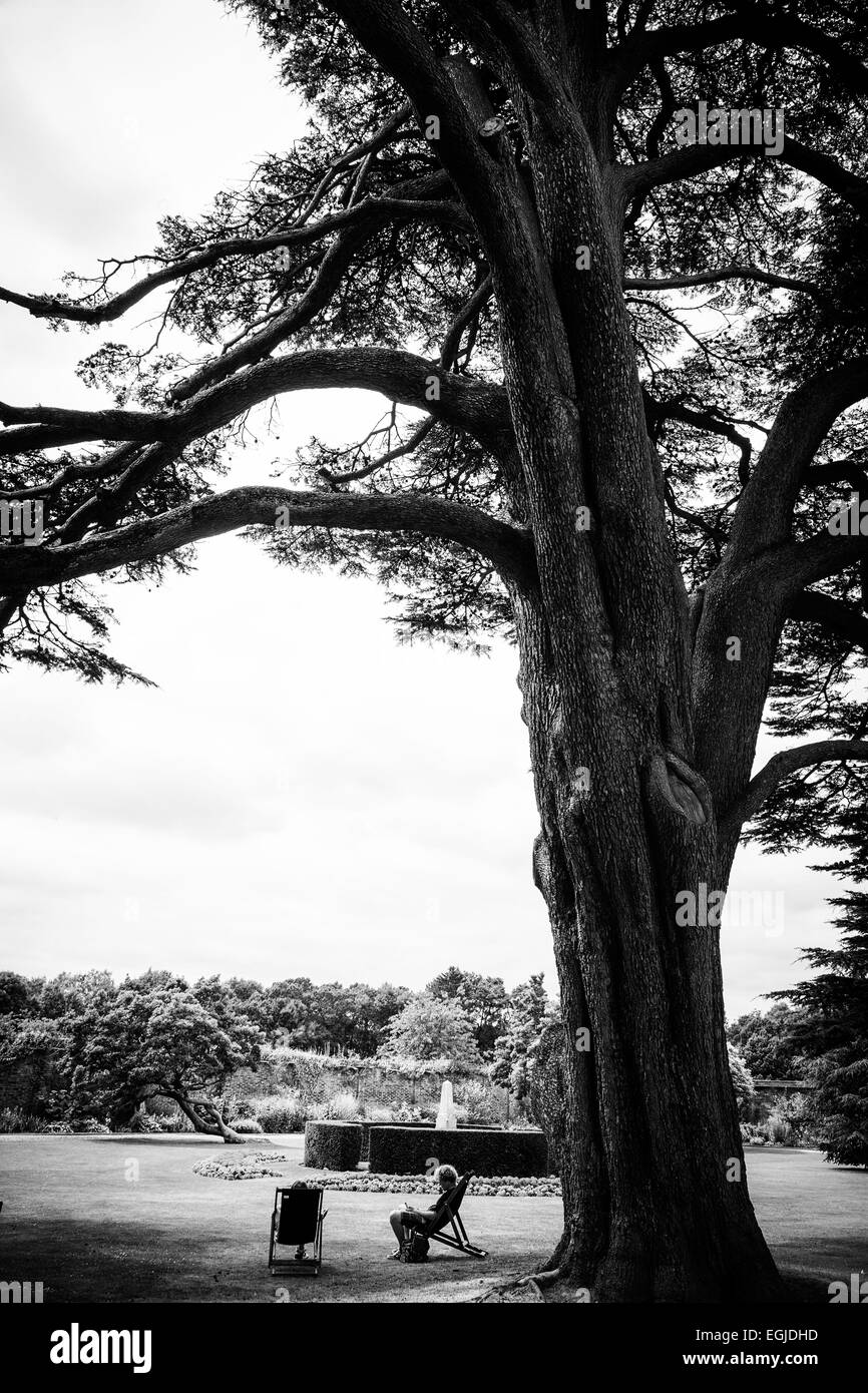 A black and white image of two people sitting the the shade of the old ...