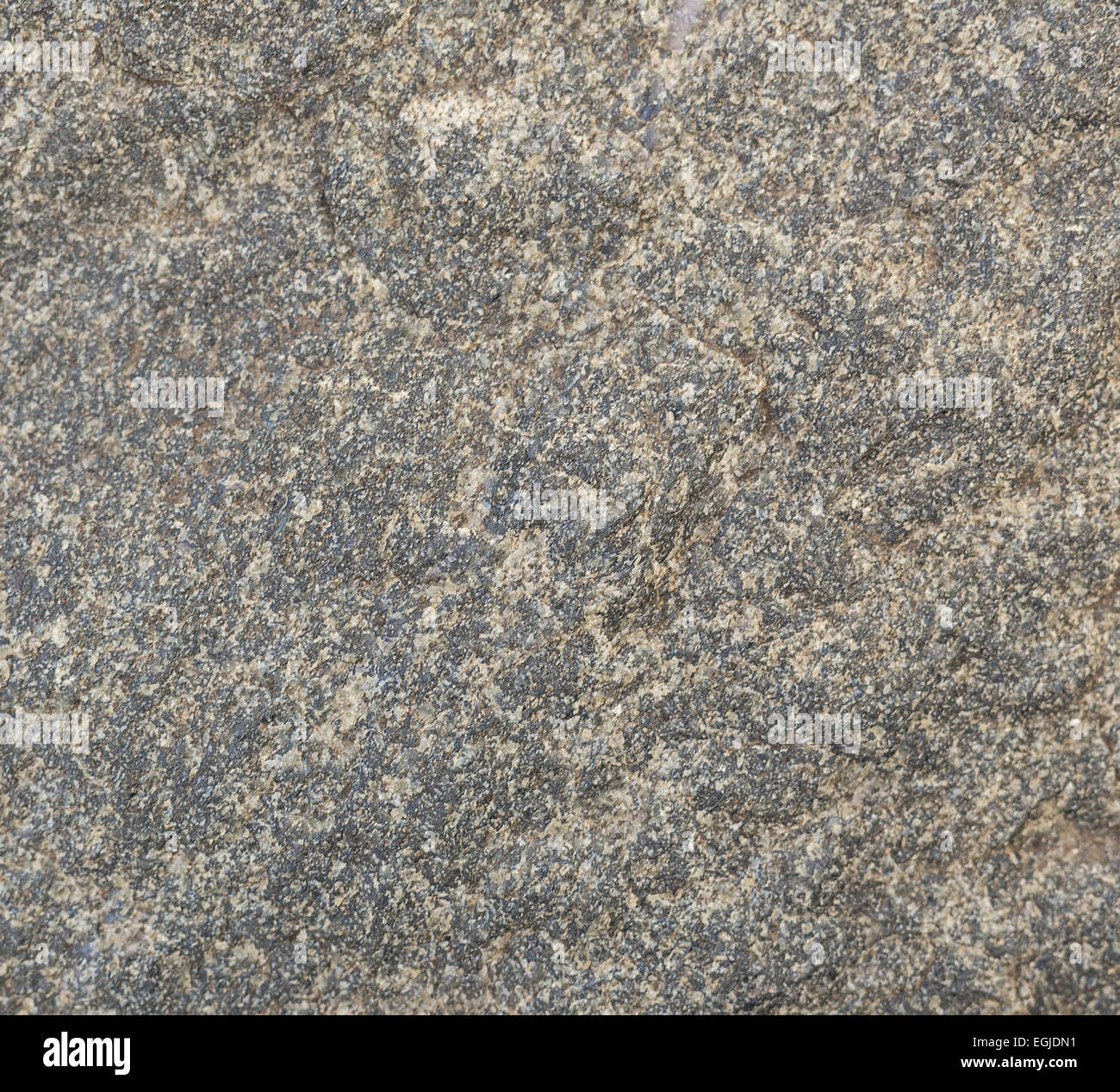 texture of stone close up background Stock Photo - Alamy
