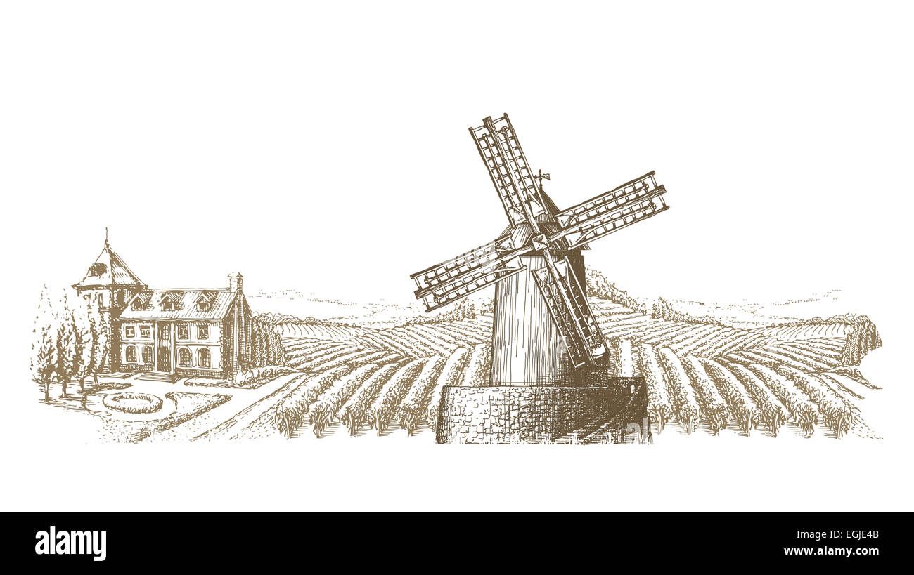 vineyard vector logo design template. farm or bountiful harvest icon ...