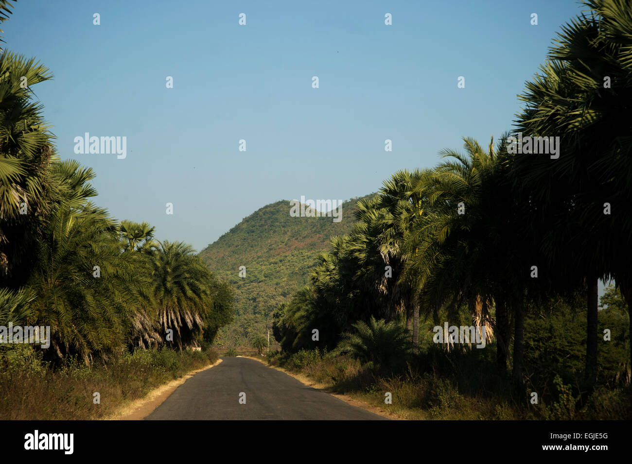 Rural vegetation hi-res stock photography and images - Alamy