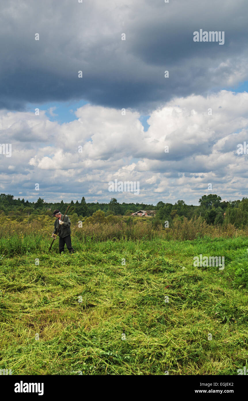 Cutting grass on village garden Stock Photo - Alamy