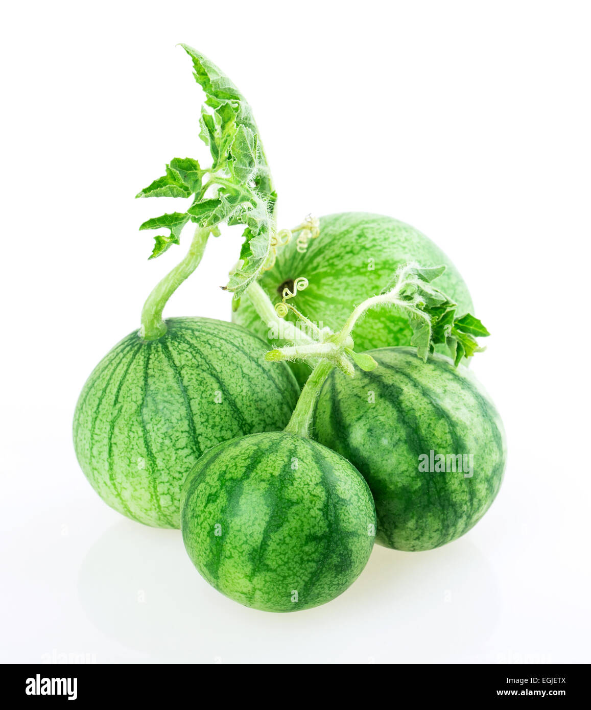 not ripe watermelon isolated on white background Stock Photo - Alamy