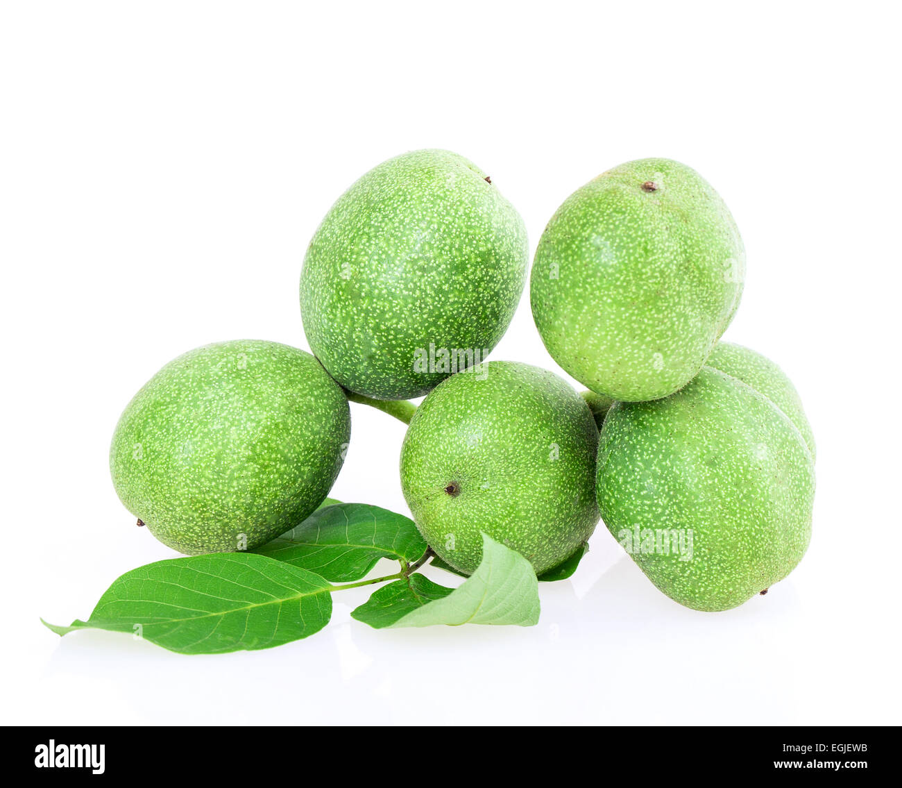 green walnuts isolated on white background Stock Photo - Alamy