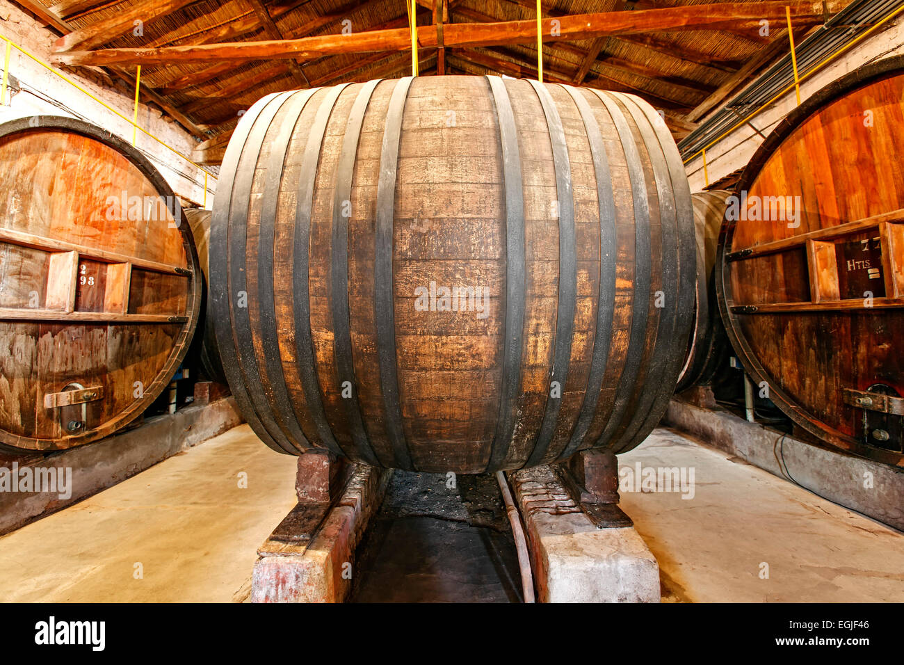 Oak barrels, Bodega La Rural (winery), Mendoza Province, Argentina ...