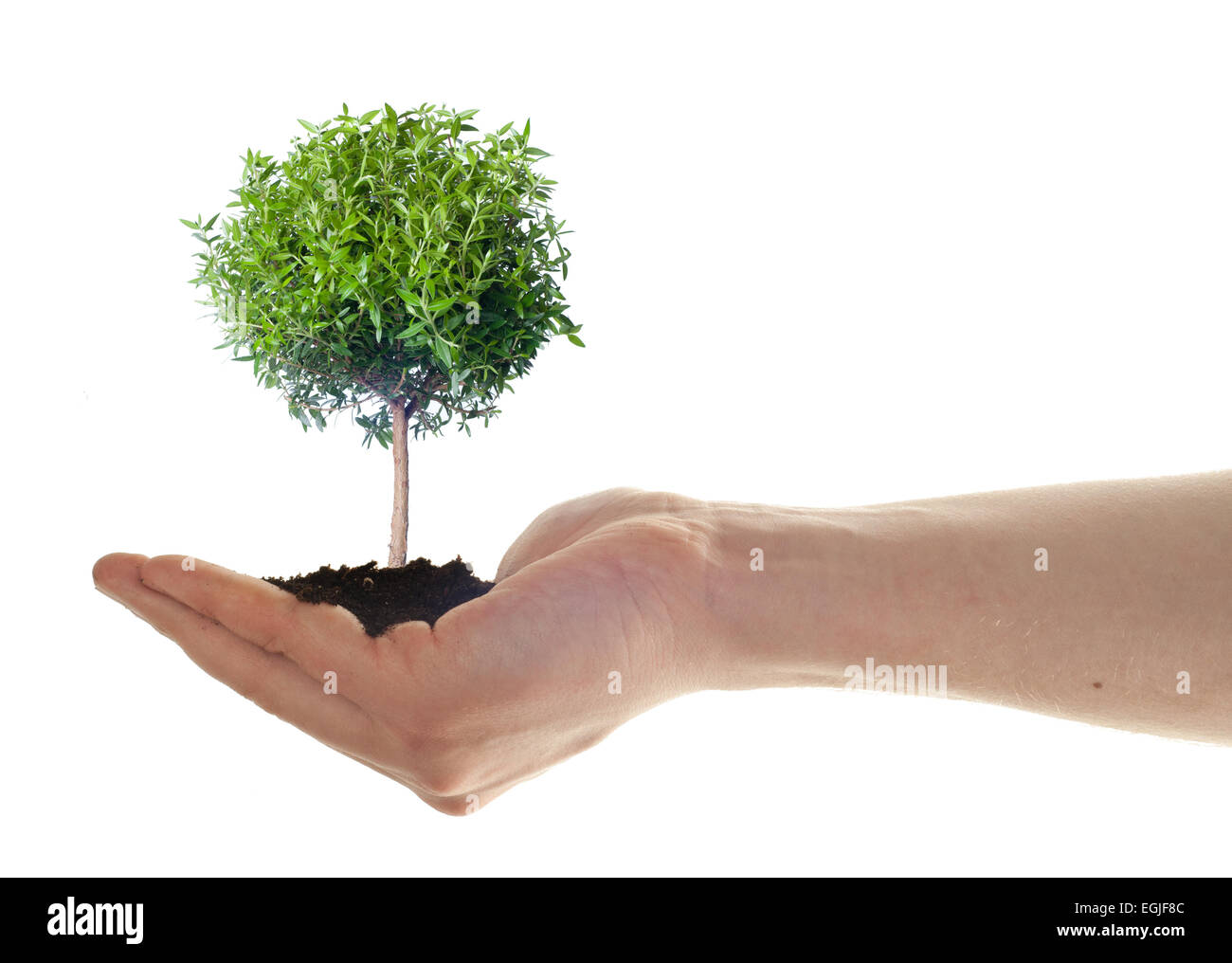 Man hold one hand Cut Out Stock Images & Pictures - Alamy