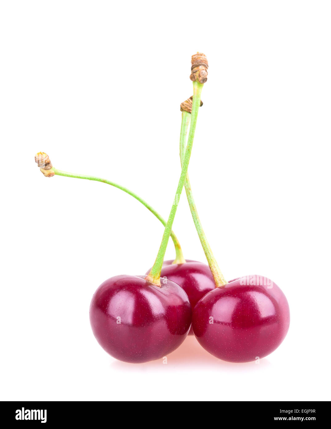 cherry isolated on white background Stock Photo - Alamy
