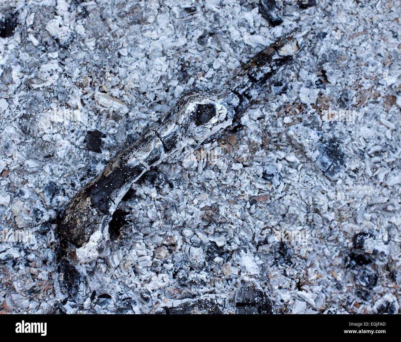ash coals burnt wood background Stock Photo - Alamy