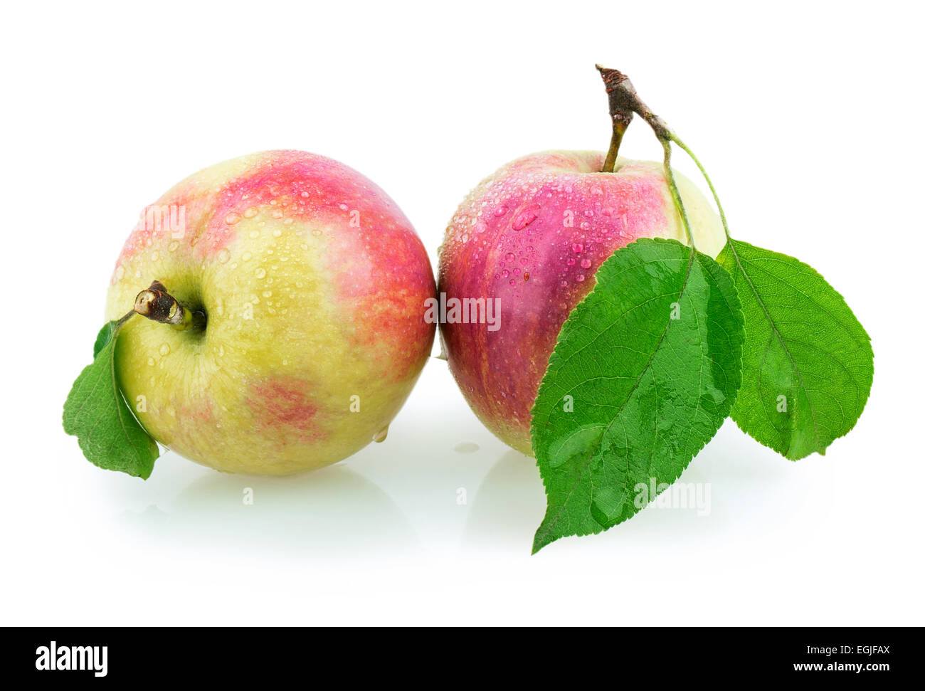 two apples isolated on white background Stock Photo - Alamy