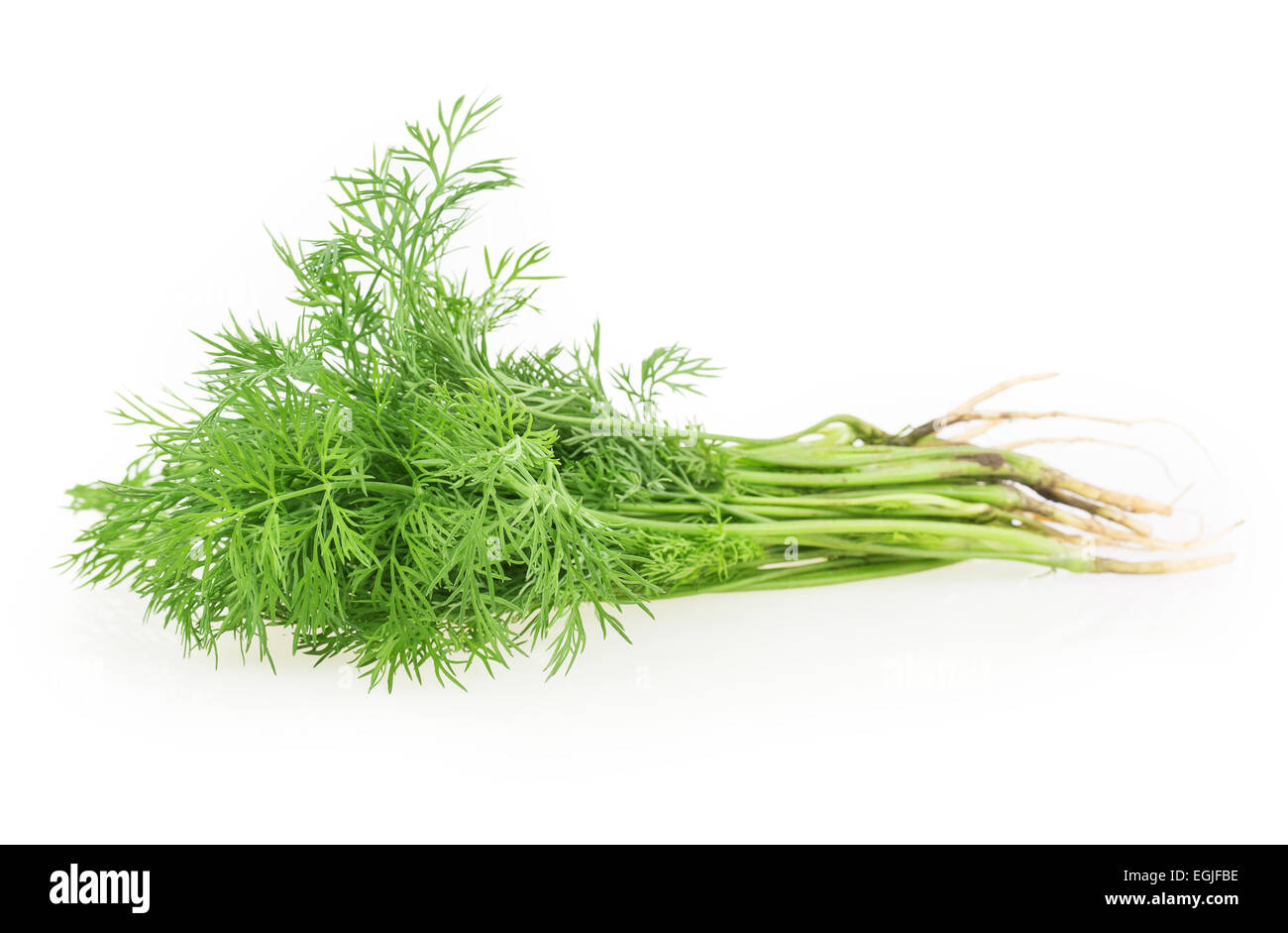 Fresh green dill parsley Cut Out Stock Images & Pictures - Alamy