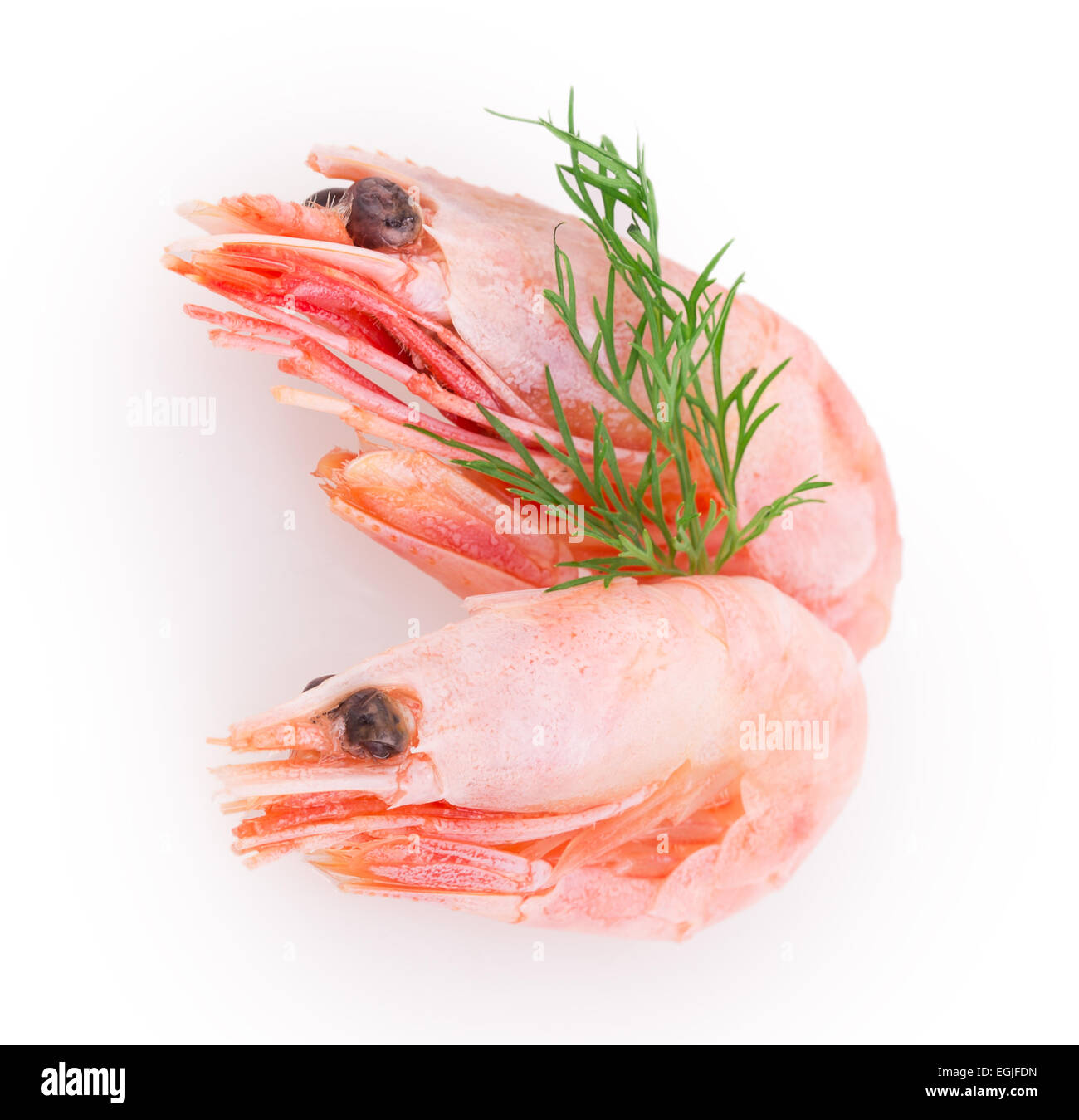 shrimp isolated on white background Stock Photo - Alamy