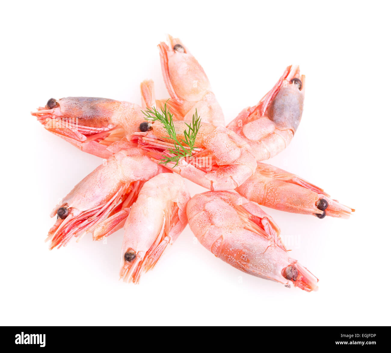 shrimp isolated on white background Stock Photo - Alamy