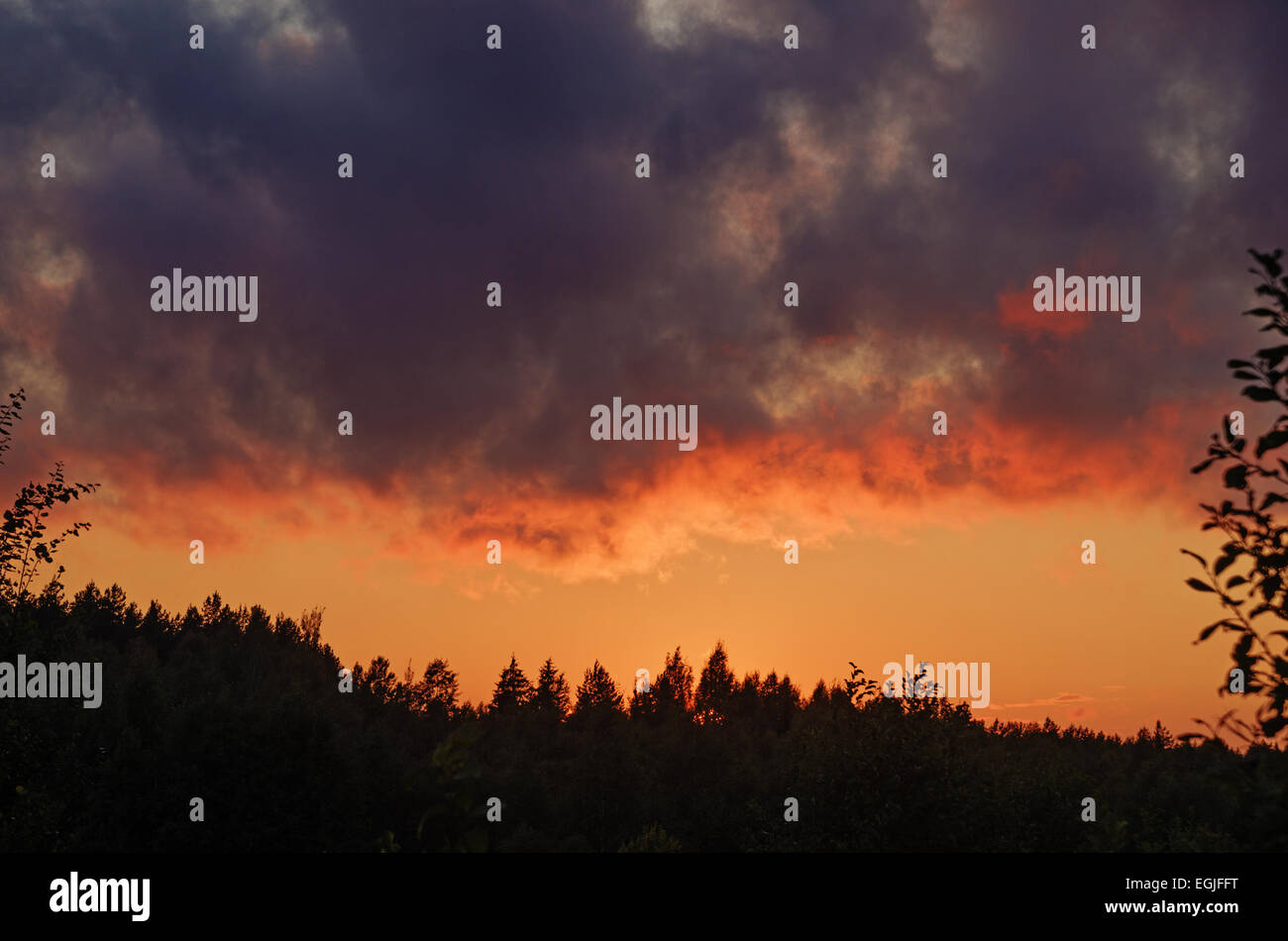 Red sunset over field and forest Stock Photo - Alamy