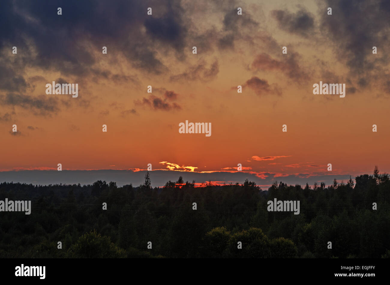 Red sunset over field and forest Stock Photo - Alamy