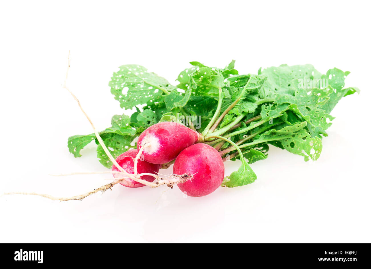 bunch of ripe red radish with green leaves Stock Photo - Alamy