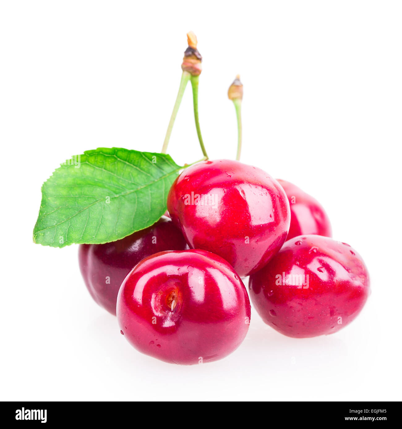 cherry isolated on white background Stock Photo - Alamy