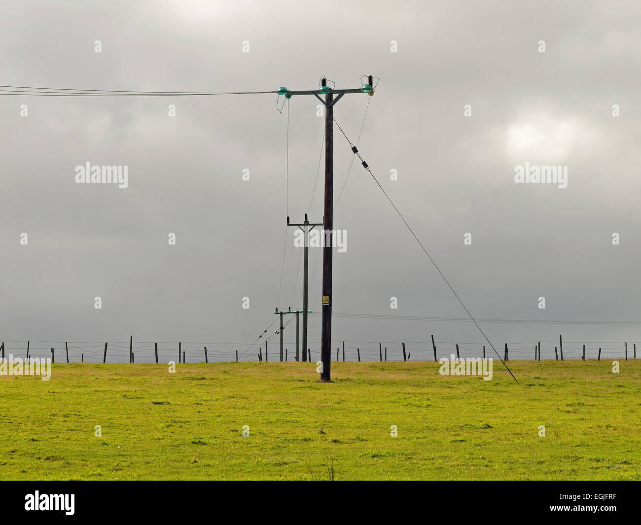 Stark electricity power lines on poles march to infinity over empty ...