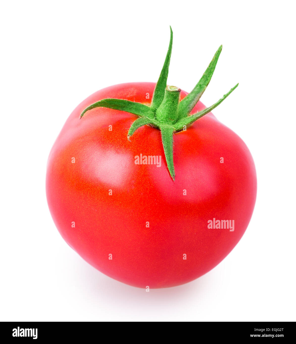 tomato isolated on white background Stock Photo - Alamy