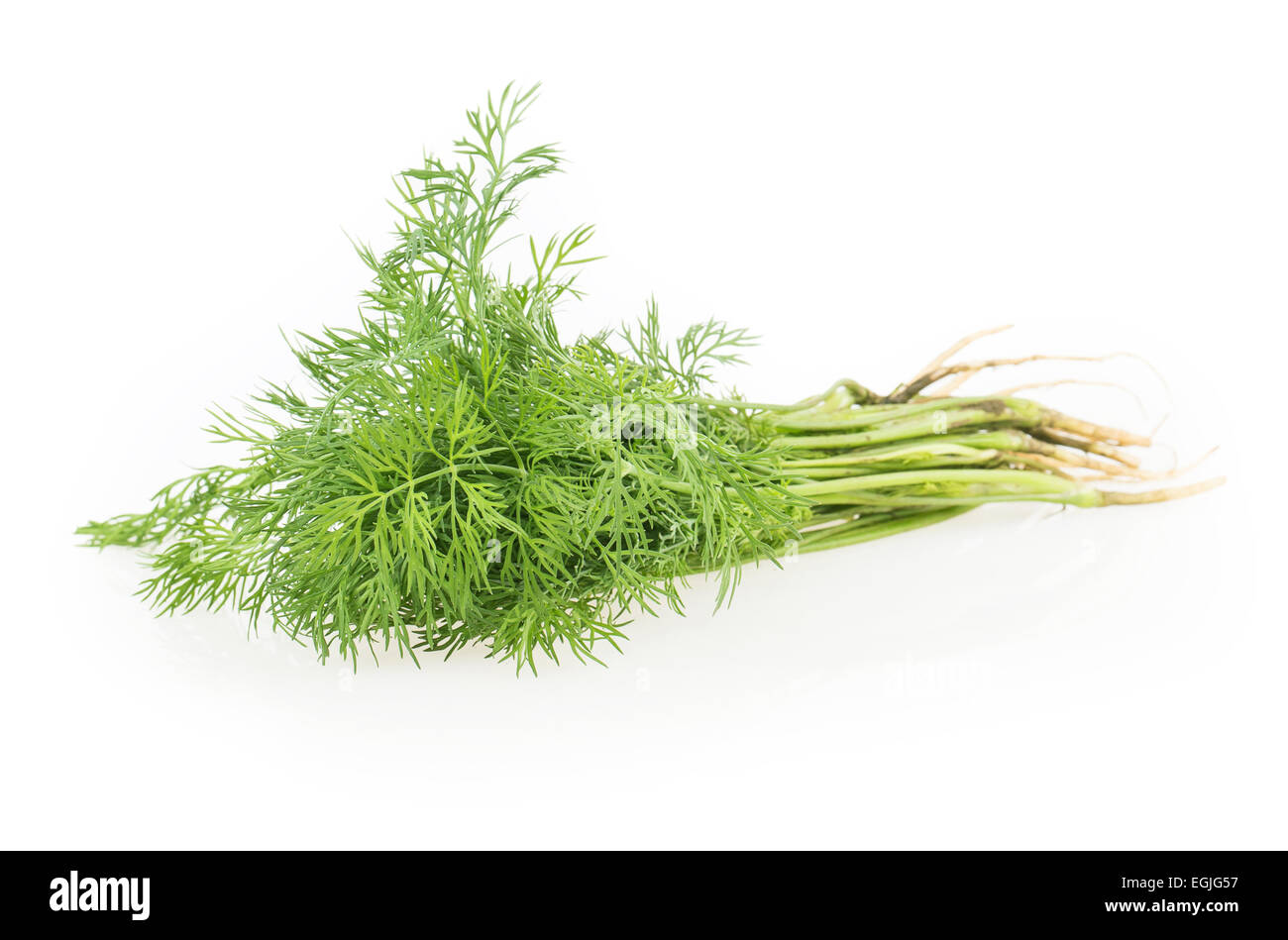 fresh dill on white background Stock Photo - Alamy