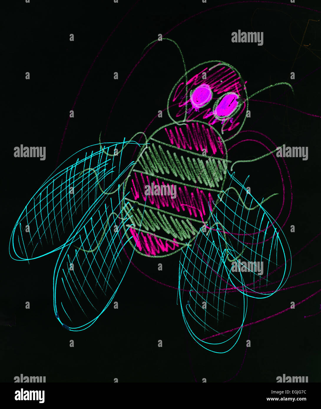 Bee drawing hi-res stock photography and images - Alamy