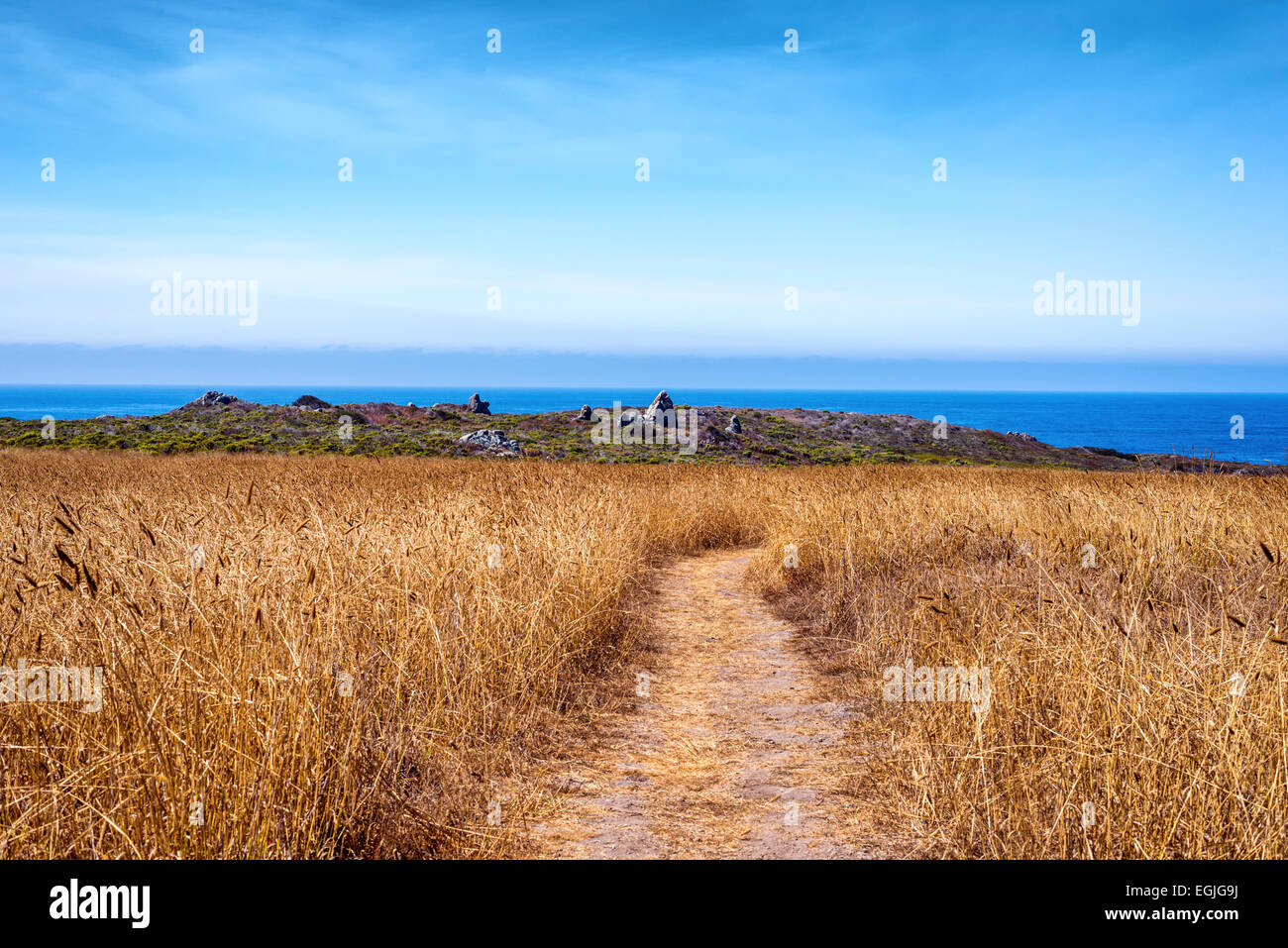 View looking down the Pacific Bluff Valley Trail. Big Sur, California ...