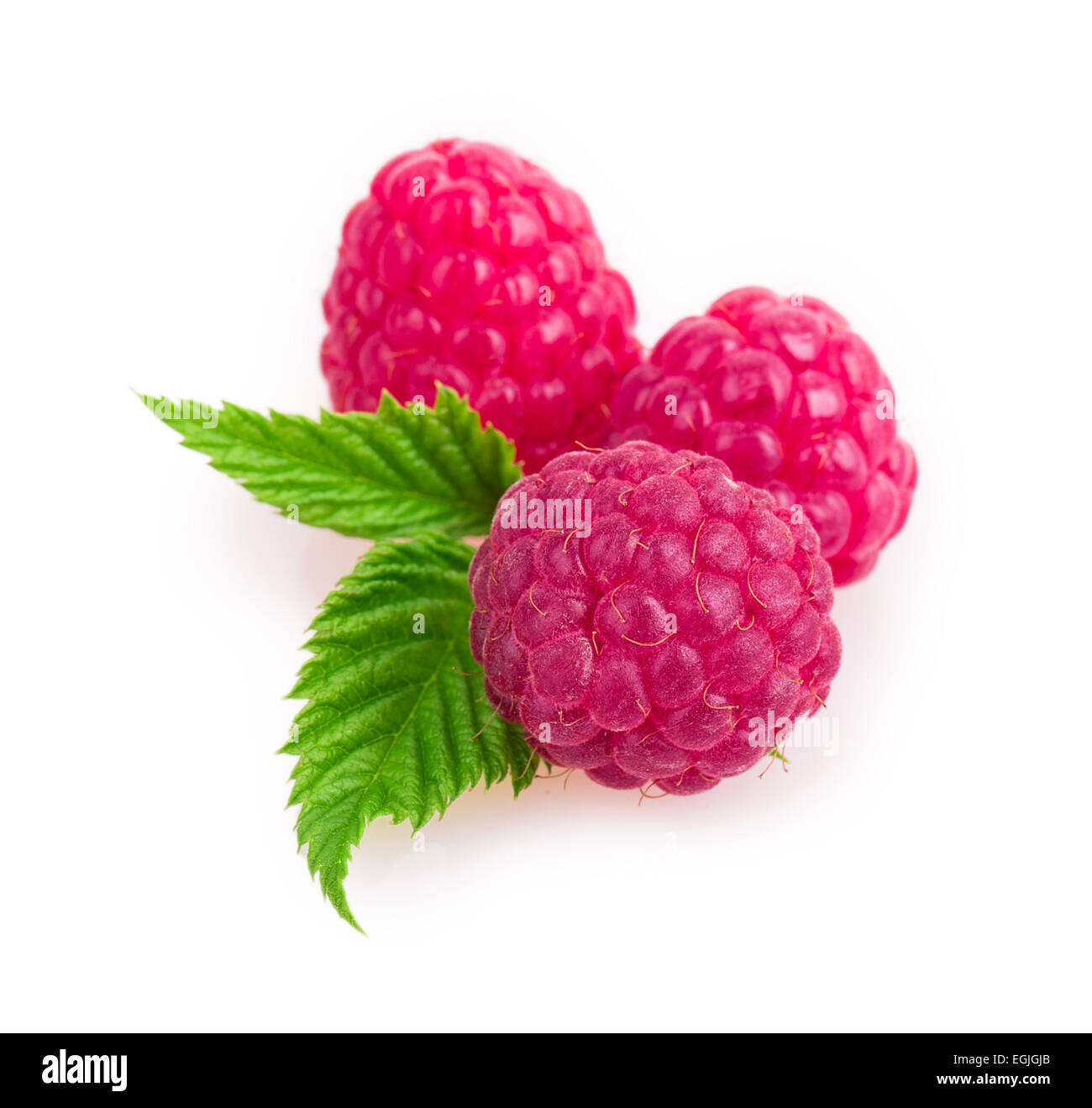 raspberries isolated on white background Stock Photo - Alamy