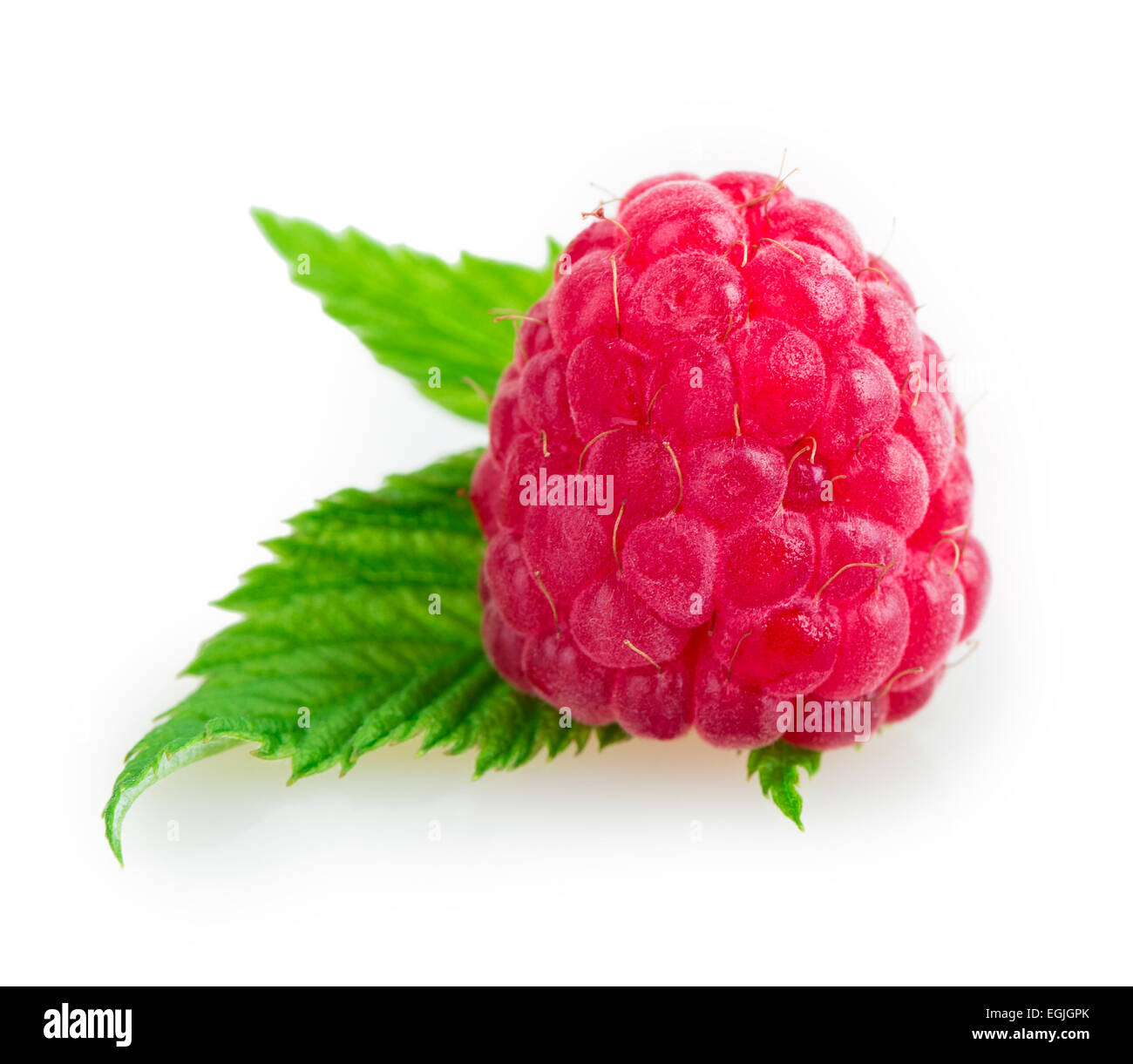 raspberries isolated on white background Stock Photo - Alamy