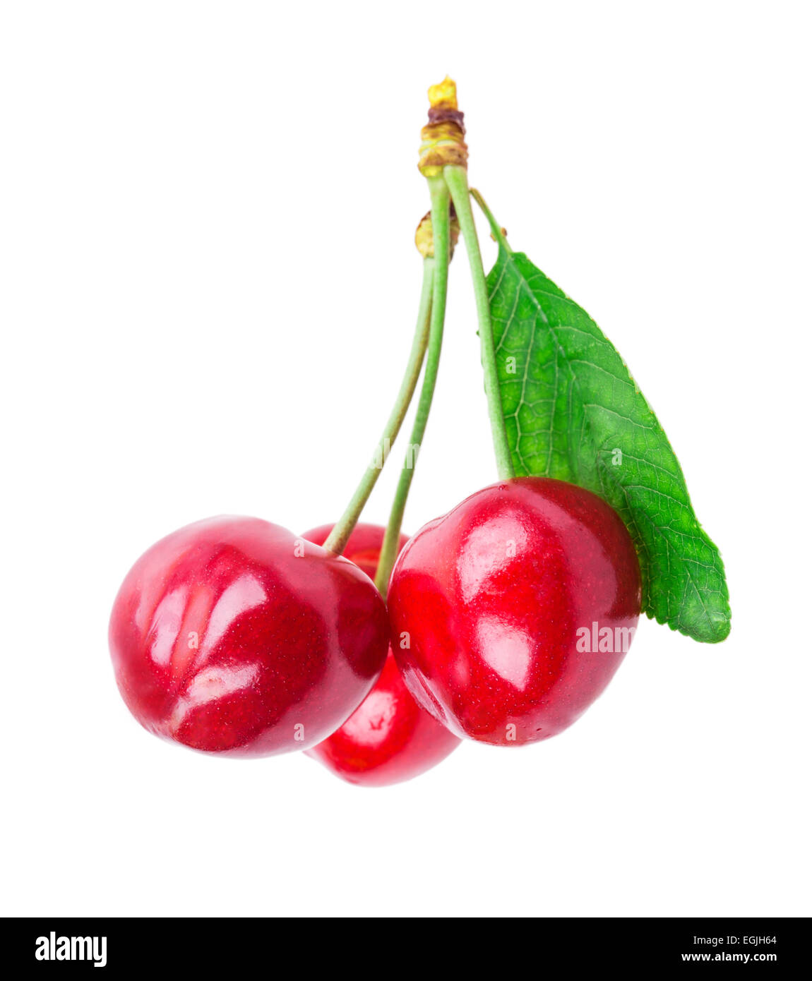 cherry isolated on white background Stock Photo - Alamy