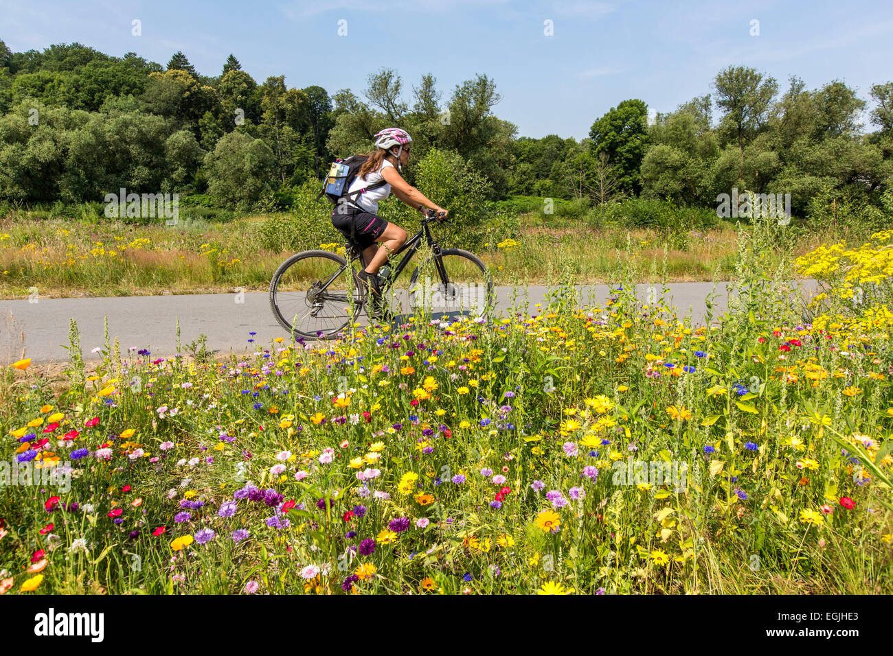 bike tour along river Ruhr, the "Ruhrtalradweg" - Ruhr valley trail ...