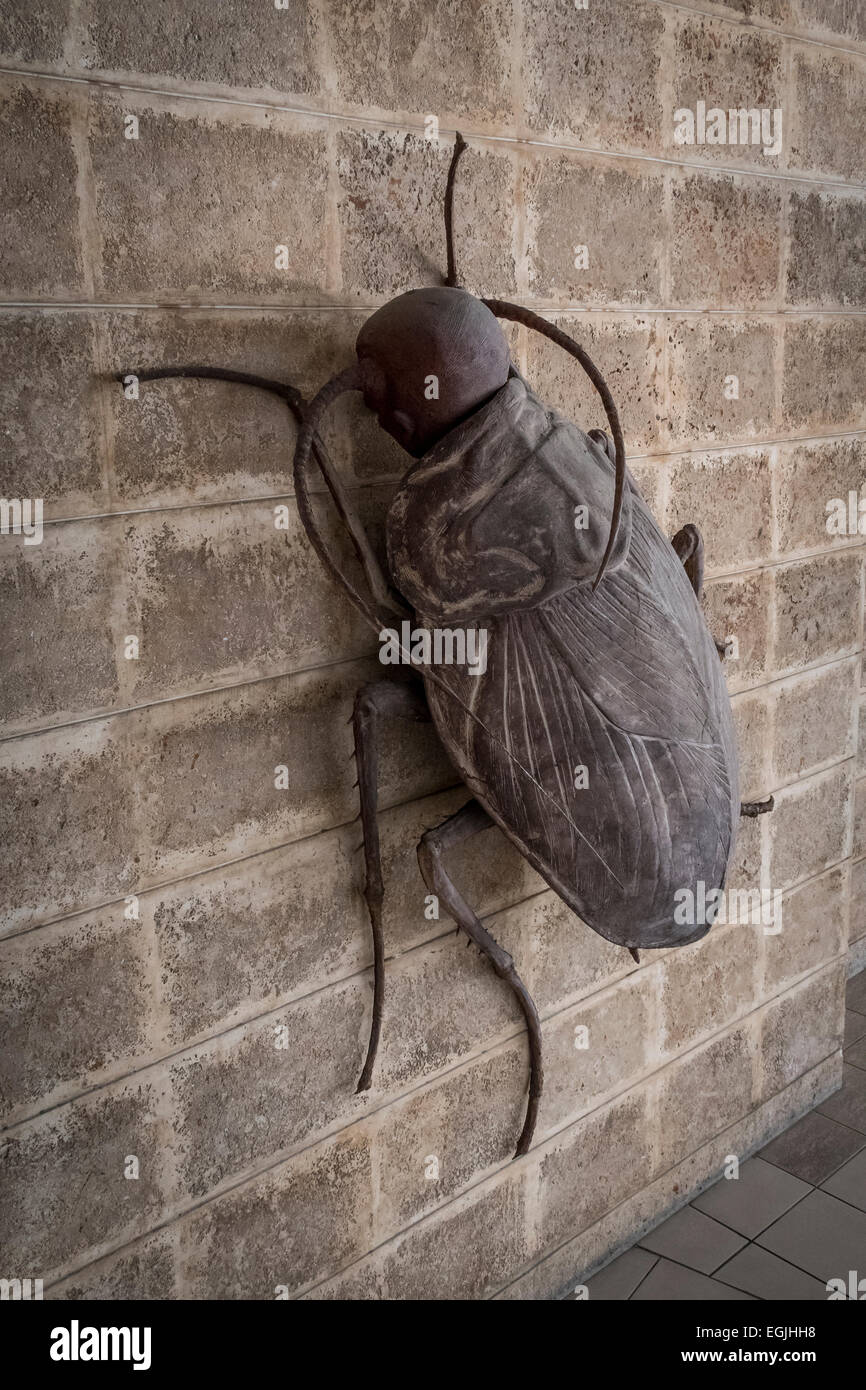 Giant cockroach sculpture hi-res stock photography and images - Alamy
