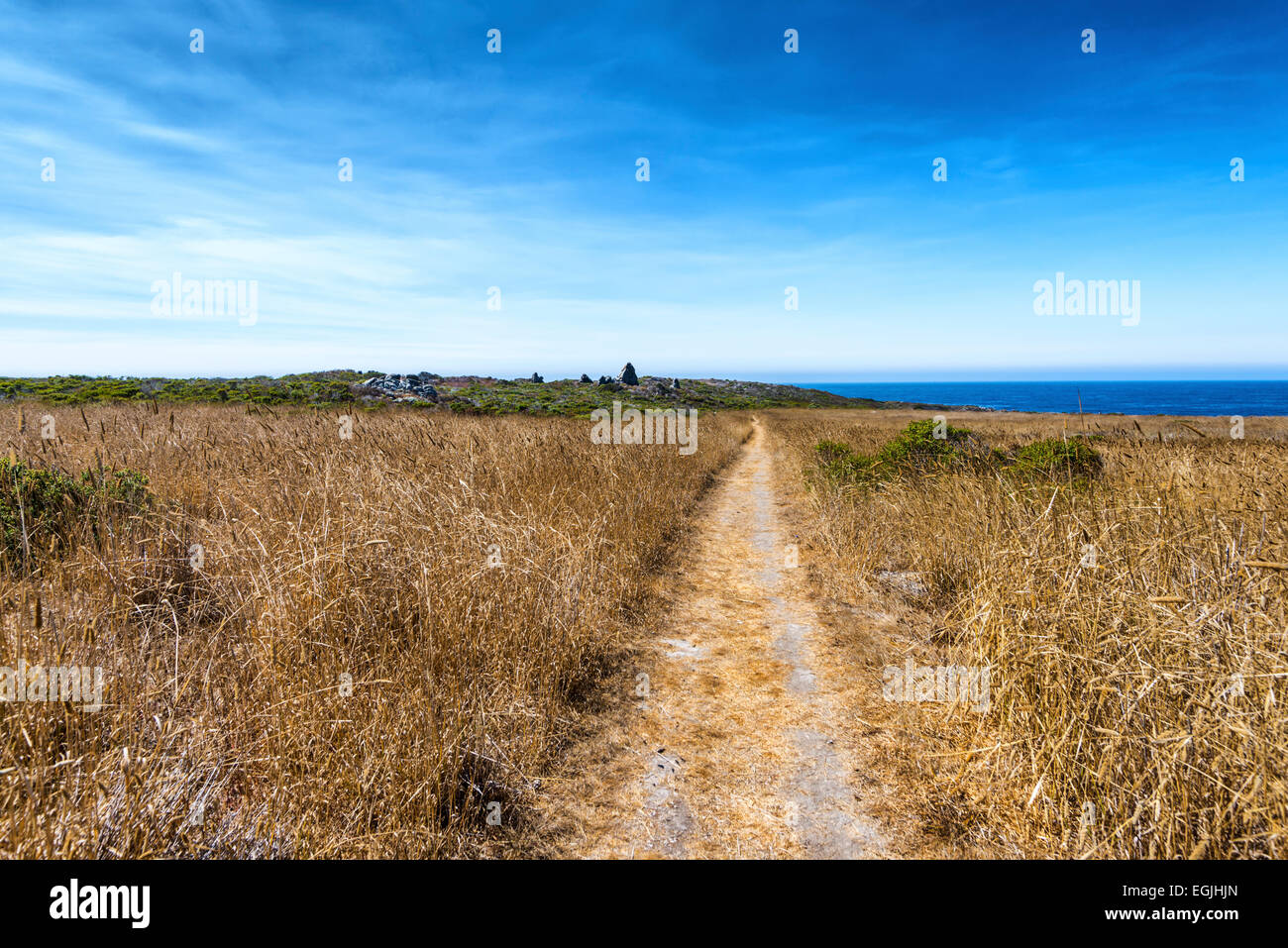 View looking down the Pacific Bluff Valley Trail. Big Sur, California ...
