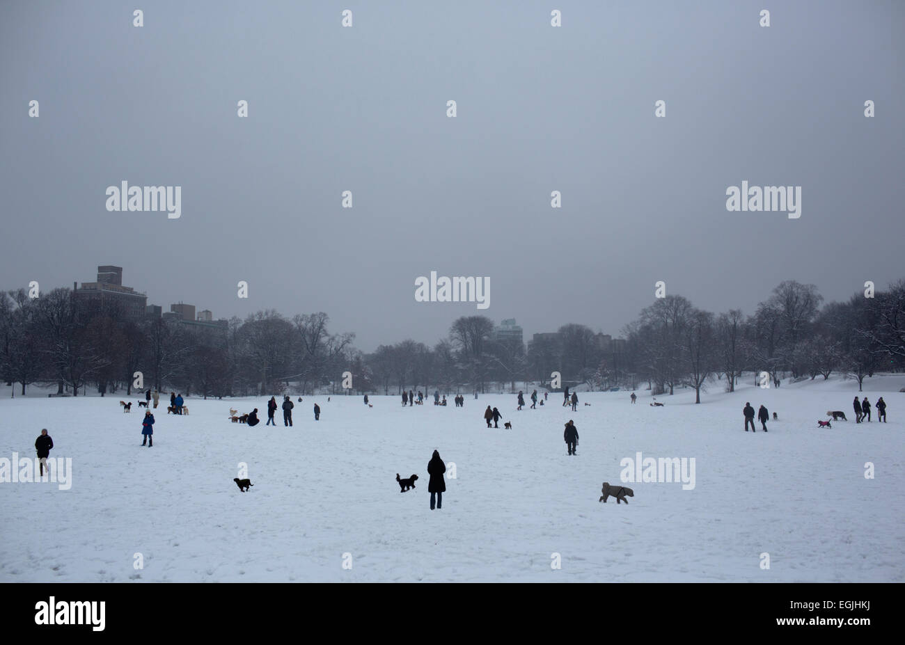 Prospect Park Brooklyn Stock Photo - Alamy