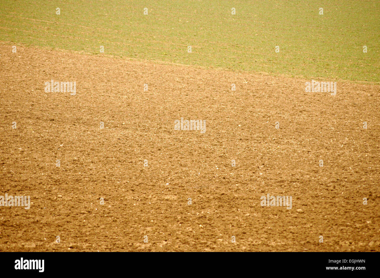 Stretch rake hi-res stock photography and images - Alamy