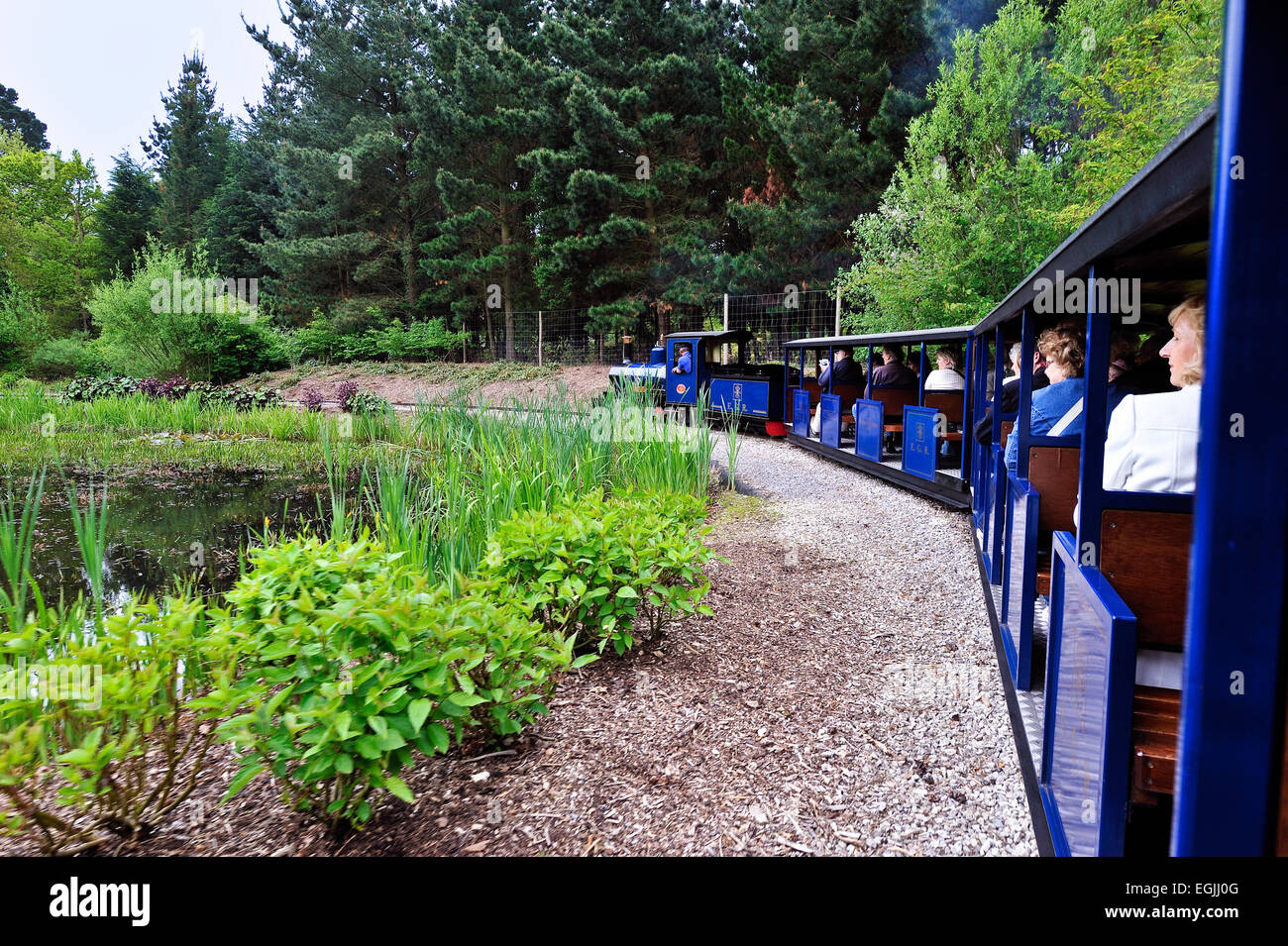 Miniature railway steam train hi-res stock photography and images - Alamy
