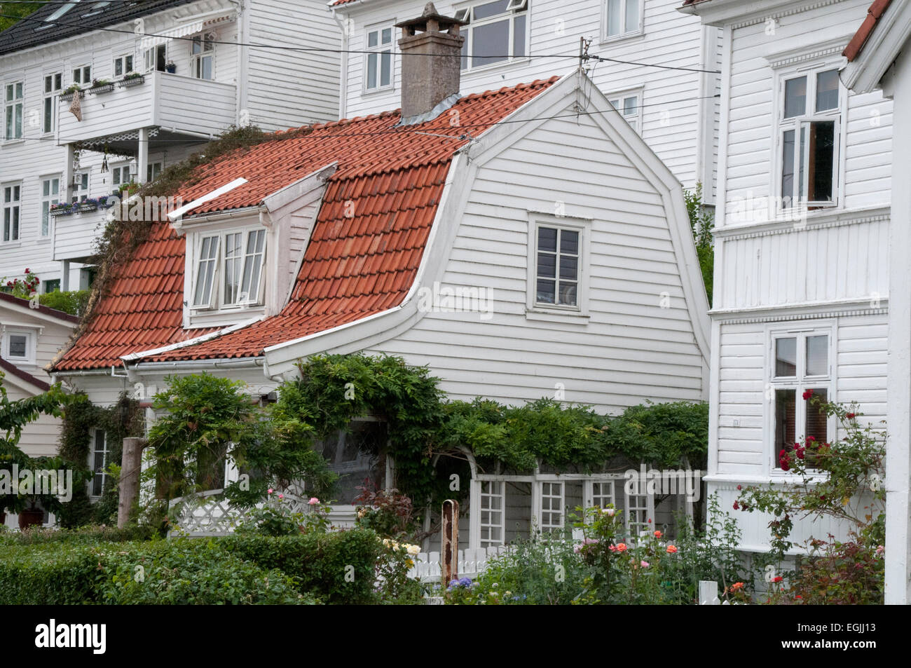 Just out of itscenter nice wooden houses in typical Norwegian style are ...