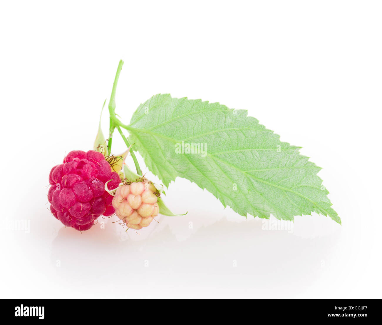 raspberries isolated on white background Stock Photo - Alamy