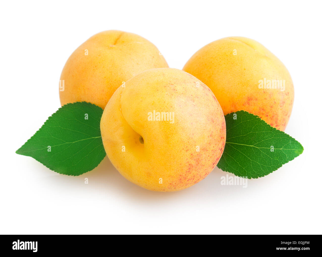 apricot isolated on white background Stock Photo - Alamy