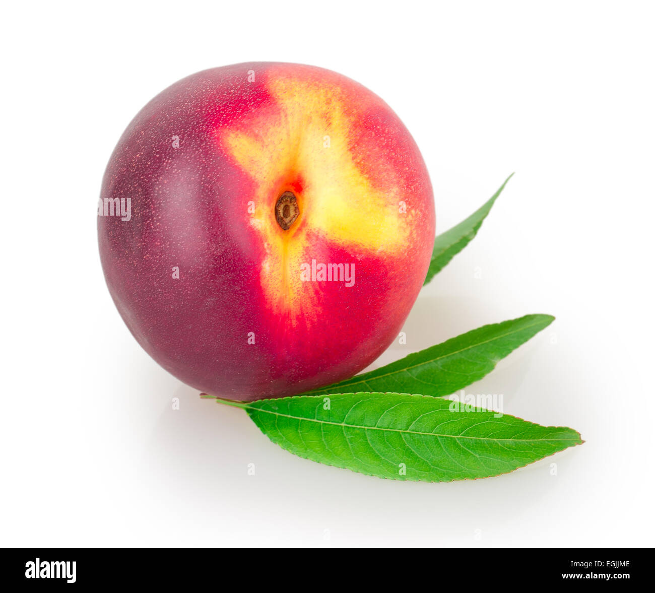 peach, nectarine isolated on white background Stock Photo - Alamy