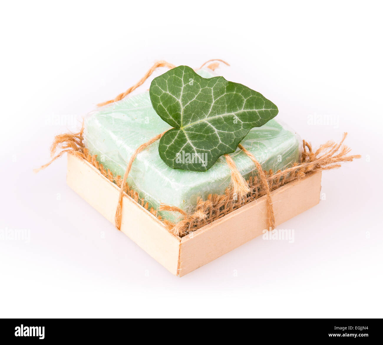 ivy leaf, soap isolated on white background Stock Photo - Alamy
