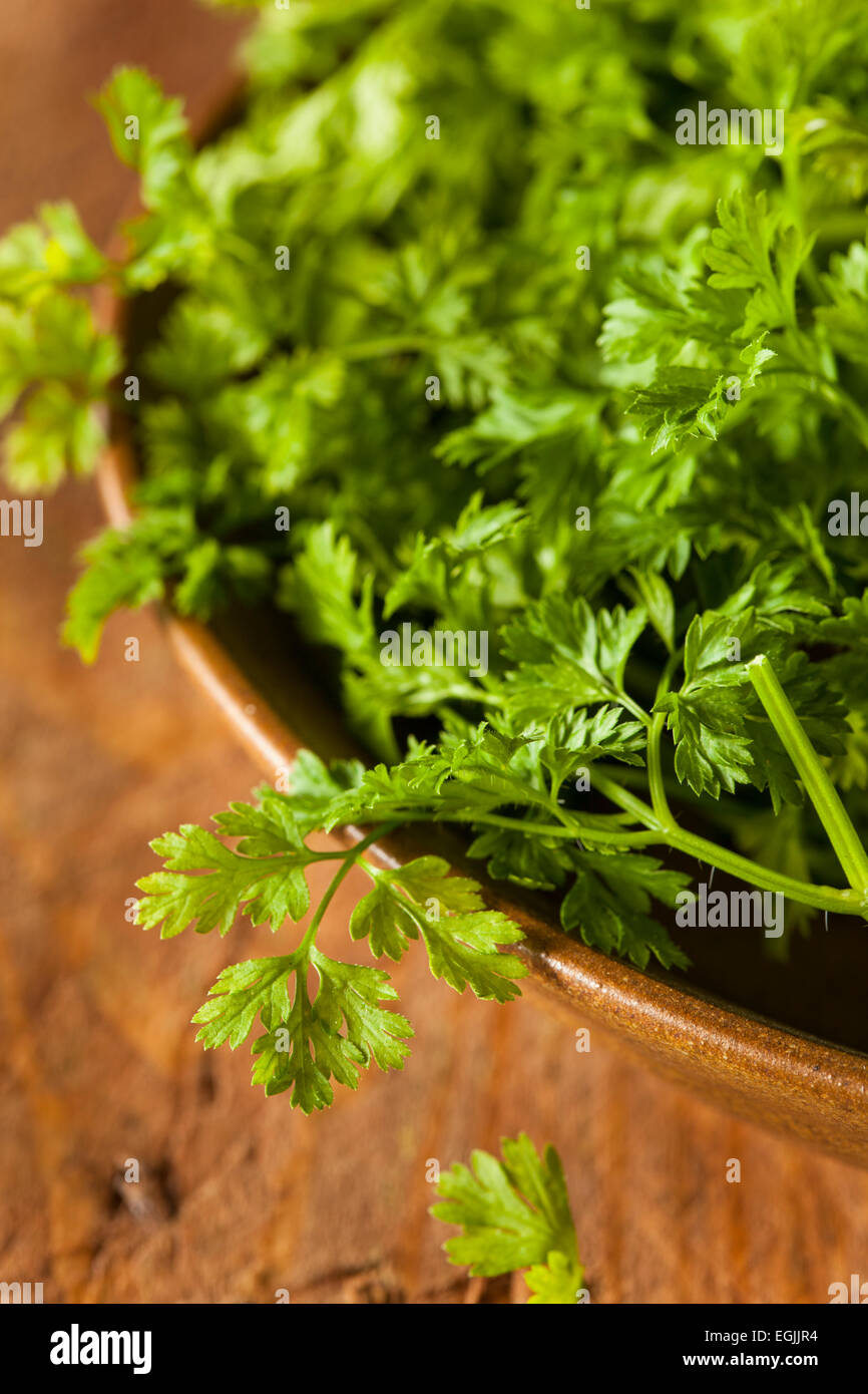French parsley hi-res stock photography and images - Alamy